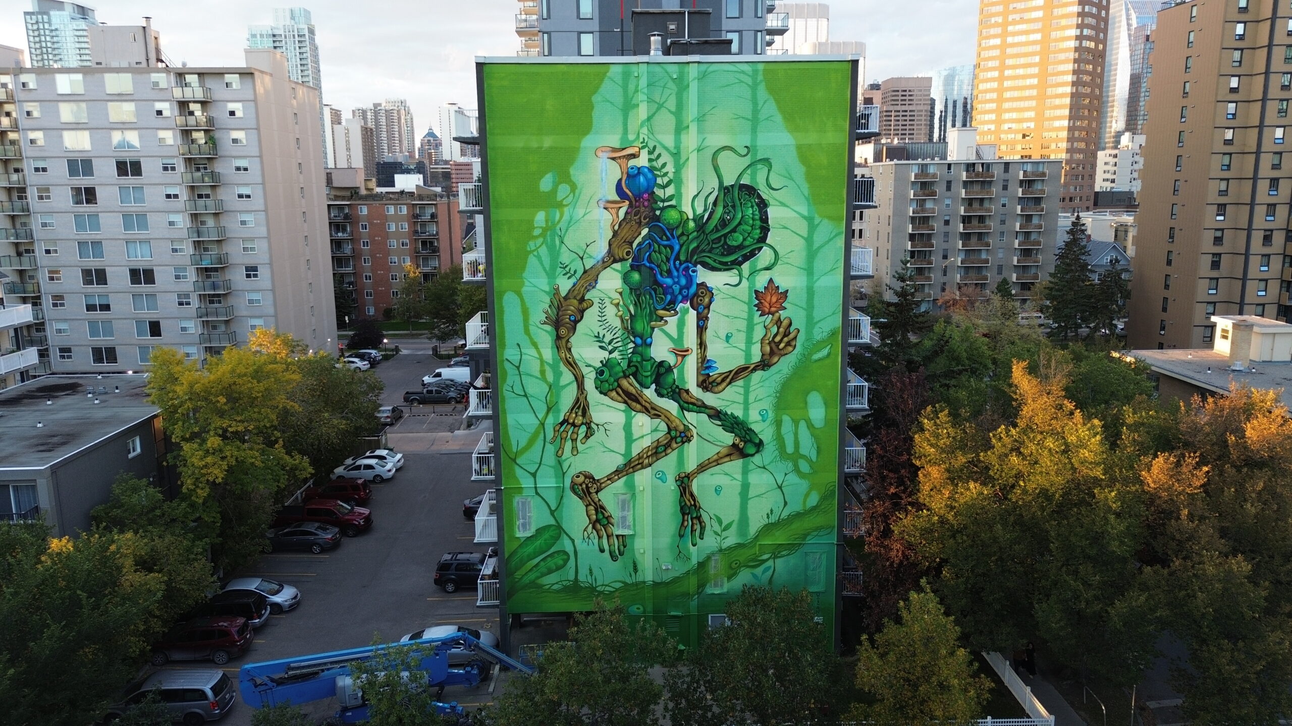 BUMP Celebrating Diversity & New Perspectives